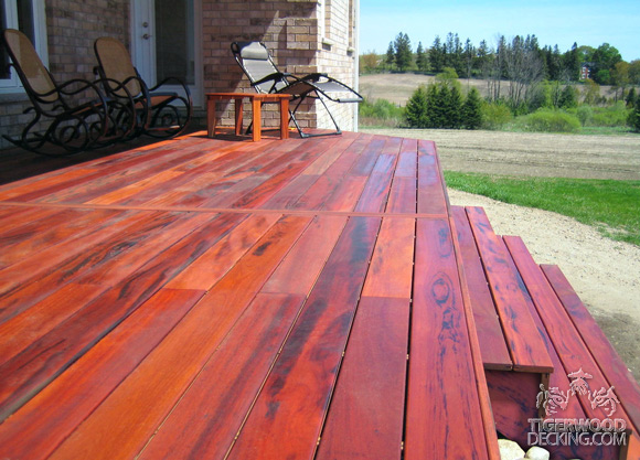 Tigerwood Decking Pictures - Tiger wood Deck Photos - Tigerwood Decking ...